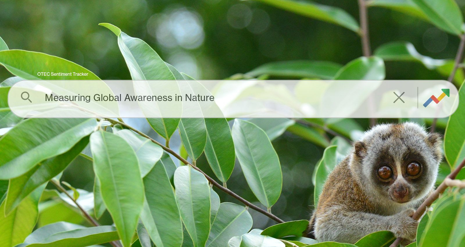 Measuring Global Awareness of Biodiversity with AI | Analytics Lab ...